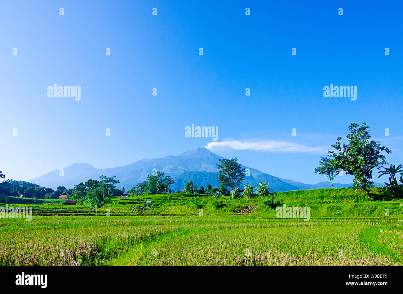 Eruption of Mount Arjuna/Arjuno-Welirang with rice paddies epic view ...