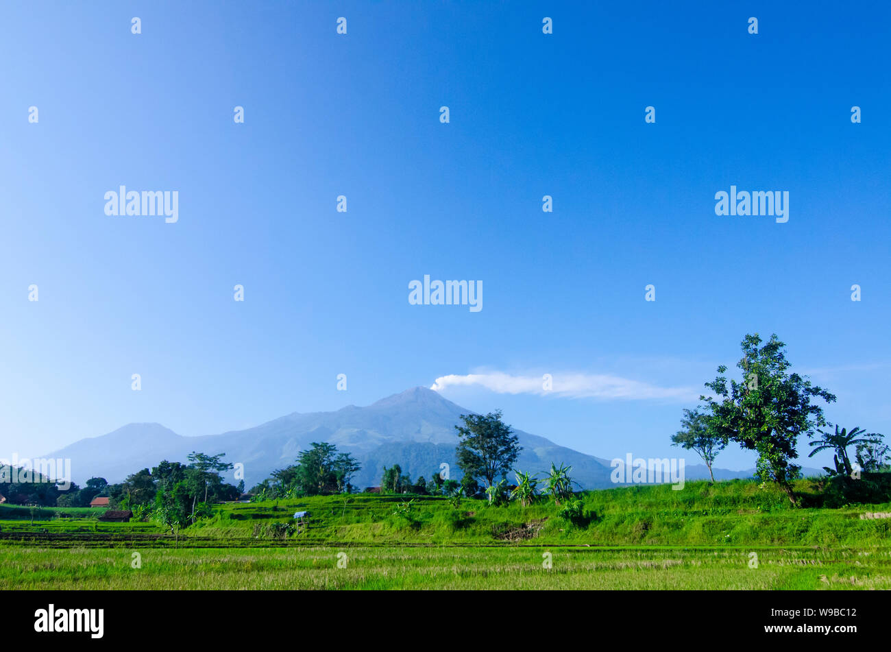 Eruption of Mount Arjuna/Arjuno-Welirang with rice paddies epic view ...