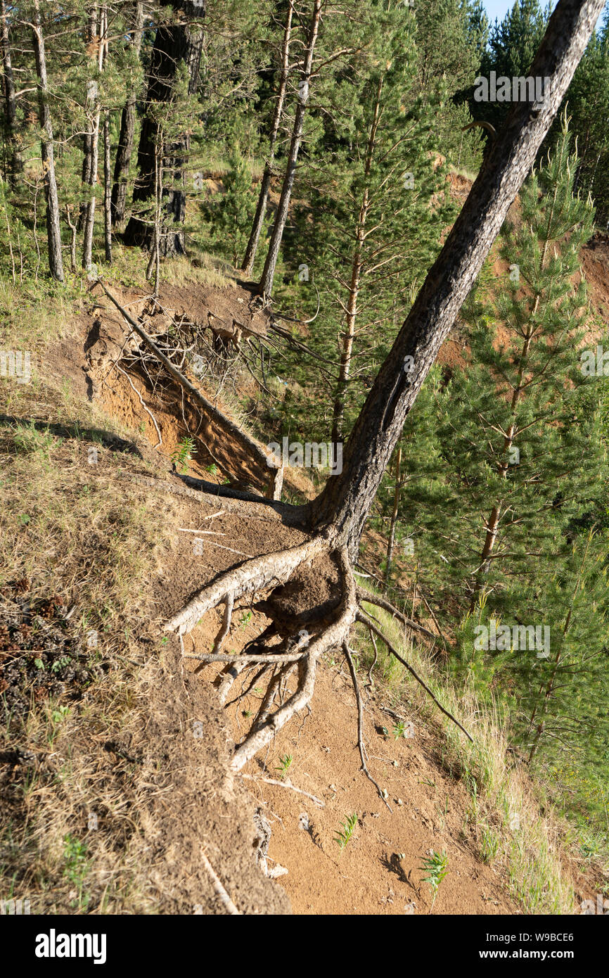 Falling down a hill hi-res stock photography and images - Alamy