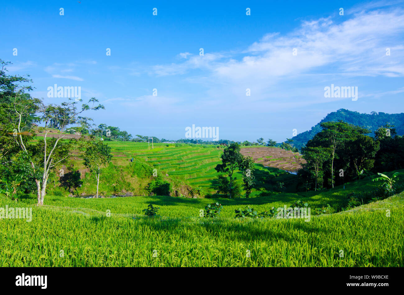 Somewhere in Asia that has beautiful scenery of rice paddies Stock ...