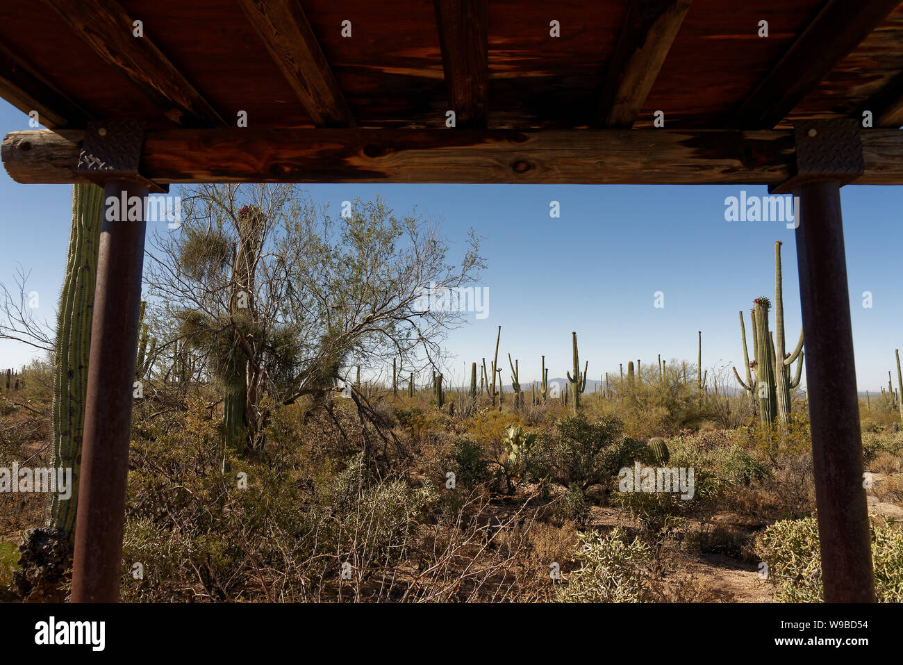 Desert discovery trail hi-res stock photography and images - Alamy