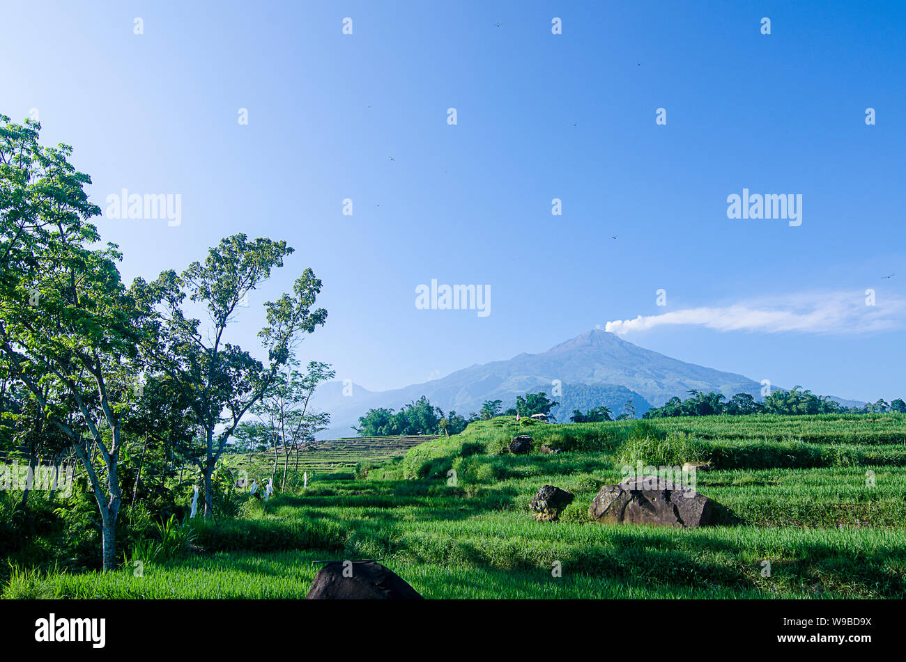 Mount arjuno hi-res stock photography and images - Alamy