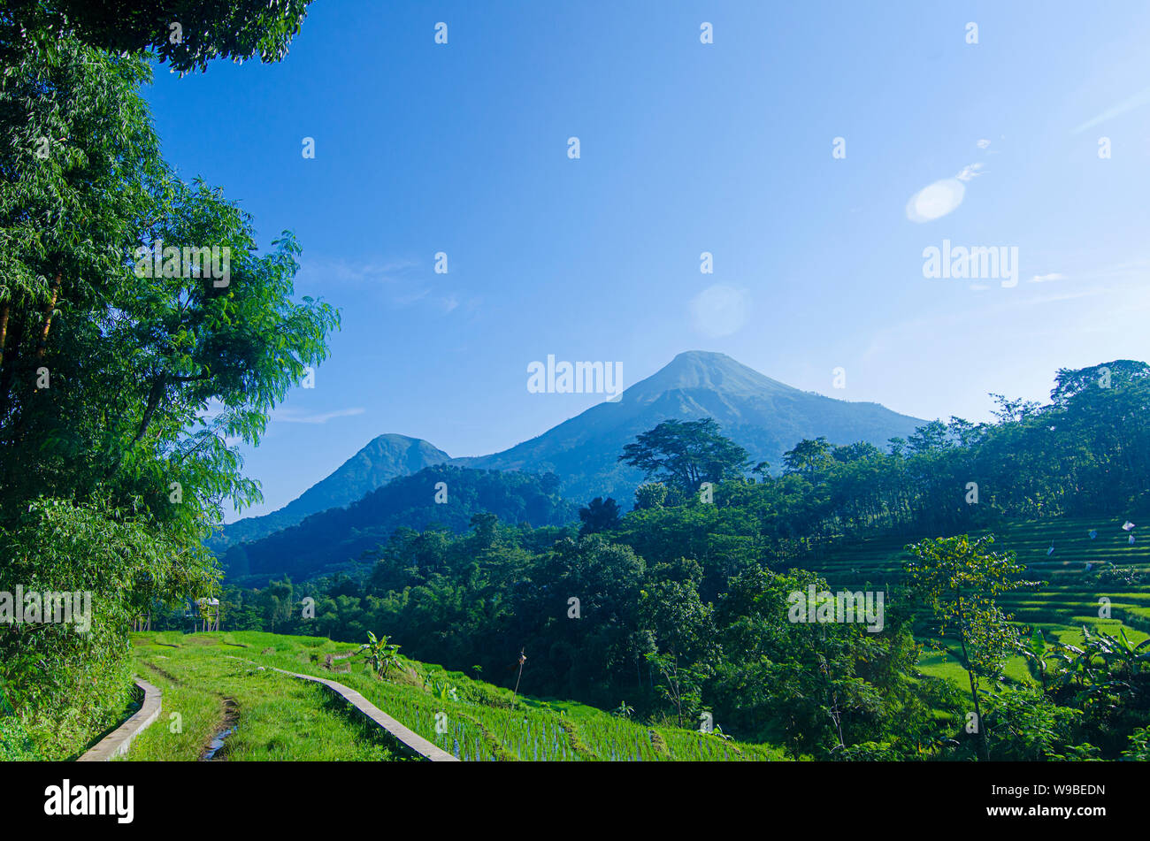 an epic view of Mount Penanggungan with rice field Stock Photo - Alamy
