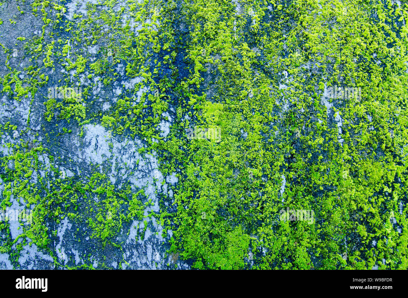 Mossy stone wall hi-res stock photography and images - Alamy