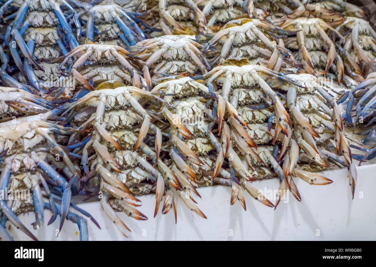 Crabs in a pile hi-res stock photography and images - Alamy