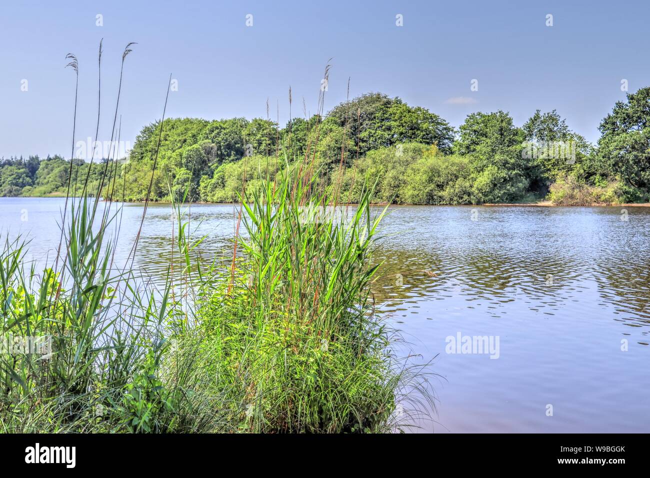 Beautiful sunset landscape at a small lake in northern germany Stock ...