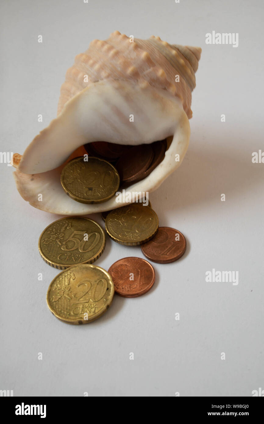 Euro coins, money in the sea shell Stock Photo - Alamy