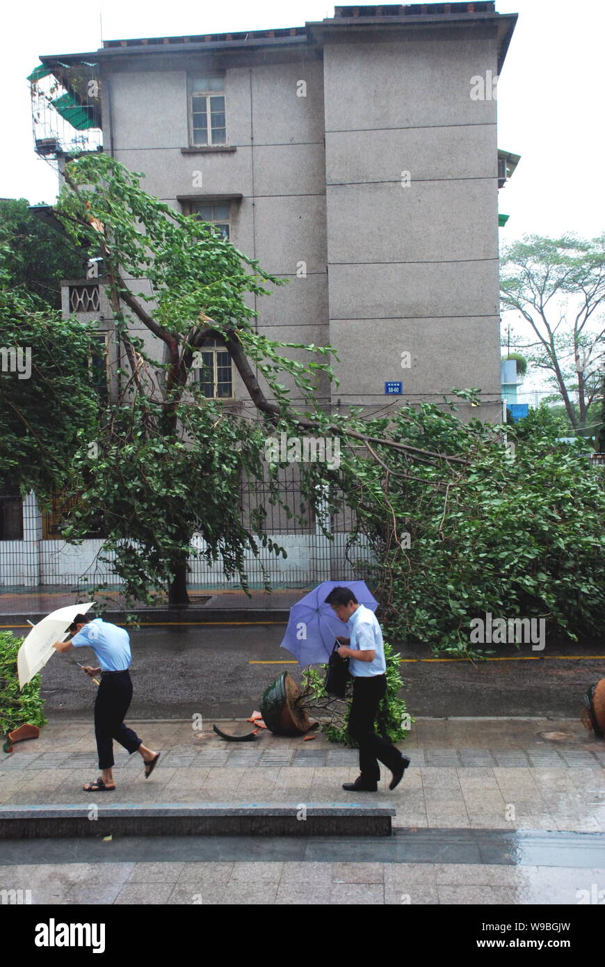 Strong wind and heavy rain hi-res stock photography and images - Alamy