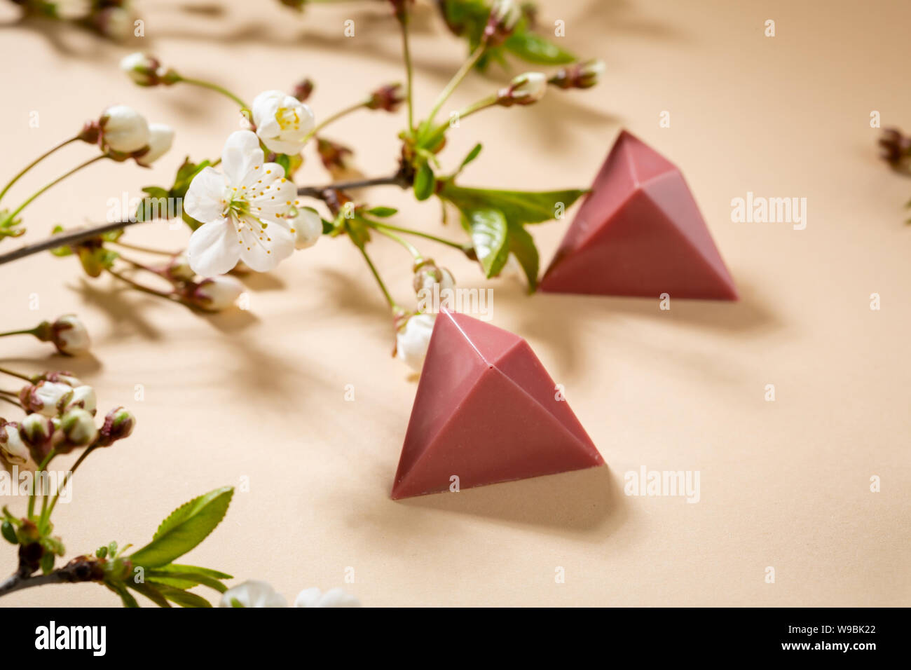 Bonbons ruby chocolate and twigs Stock Photo - Alamy