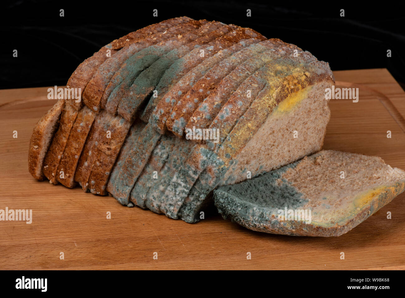 Mould on Brown Bread. Visible light and ultraviolet fluorescence Stock ...