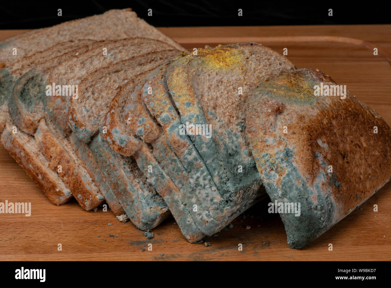 Mould on Brown Bread. Visible light and ultraviolet fluorescence Stock ...