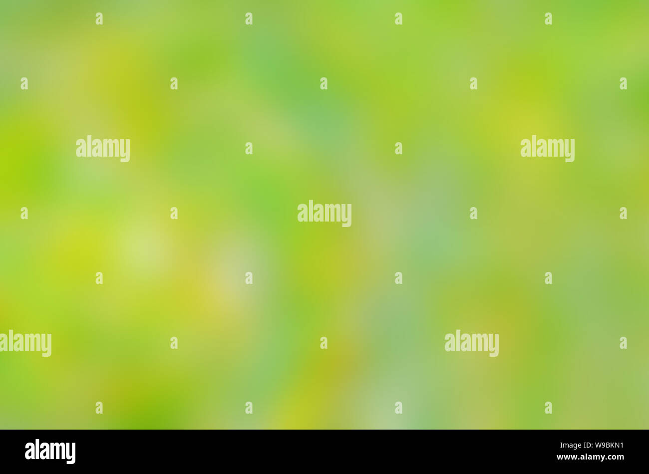 Fresh spring green bokeh and sunlight. Green bokeh out of focus ...