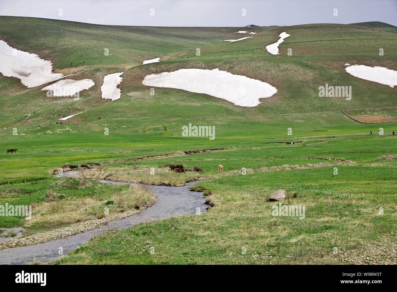 The river in the mountains of the Caucasus, Armenia Stock Photo - Alamy
