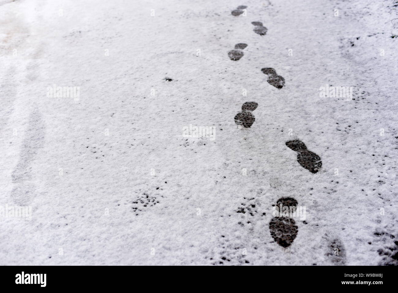 Snowy human prints hi-res stock photography and images - Alamy