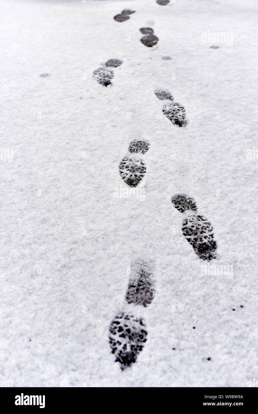 footprints in snow Stock Photo - Alamy