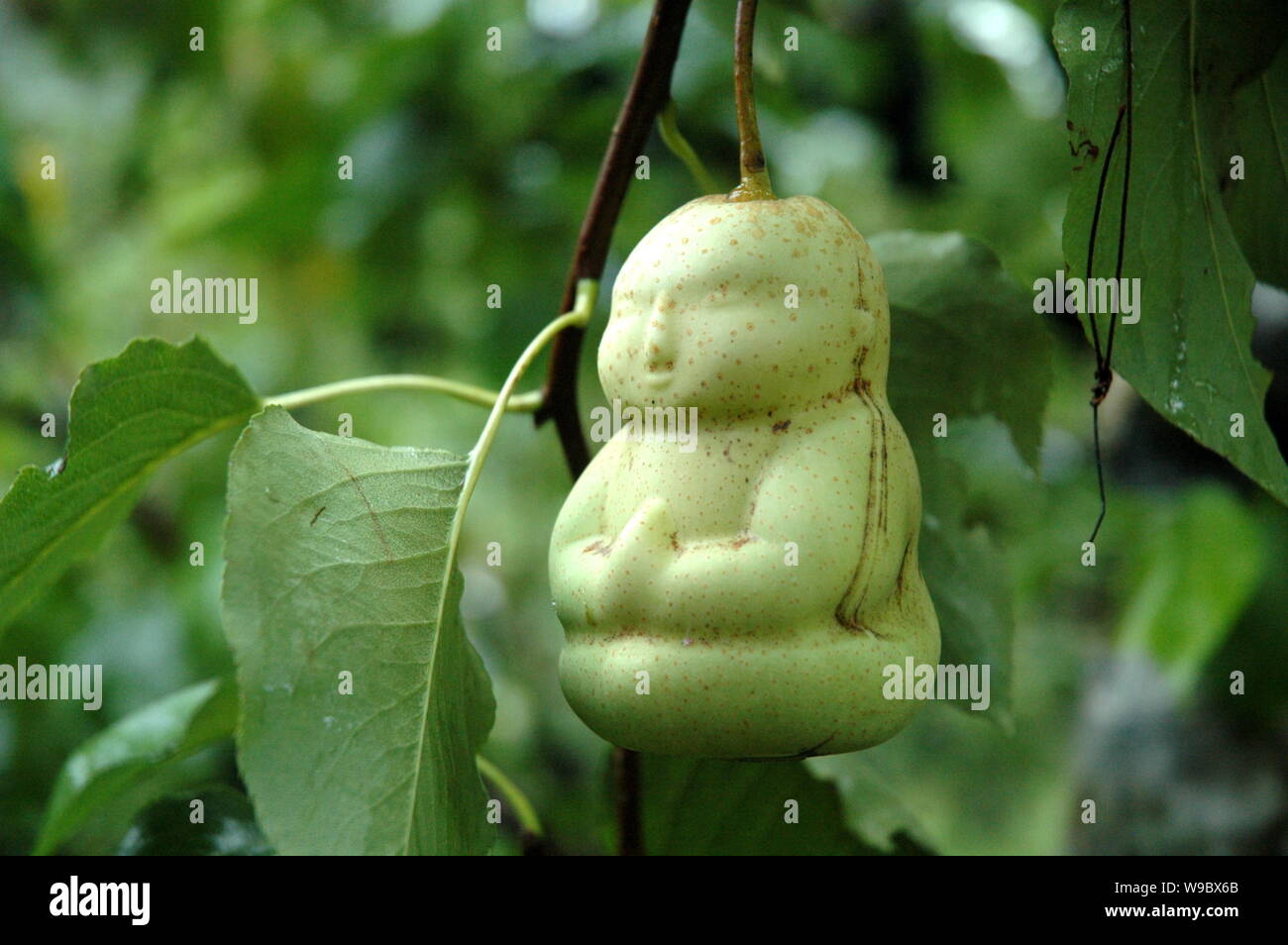 Human shaped town hi-res stock photography and images - Alamy