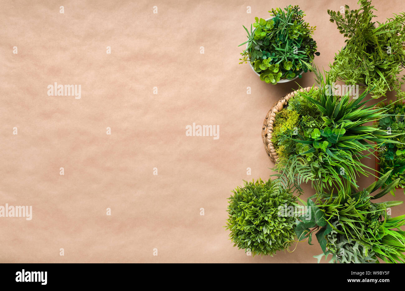 Border of grassy potted plants on craft paper background Stock Photo ...
