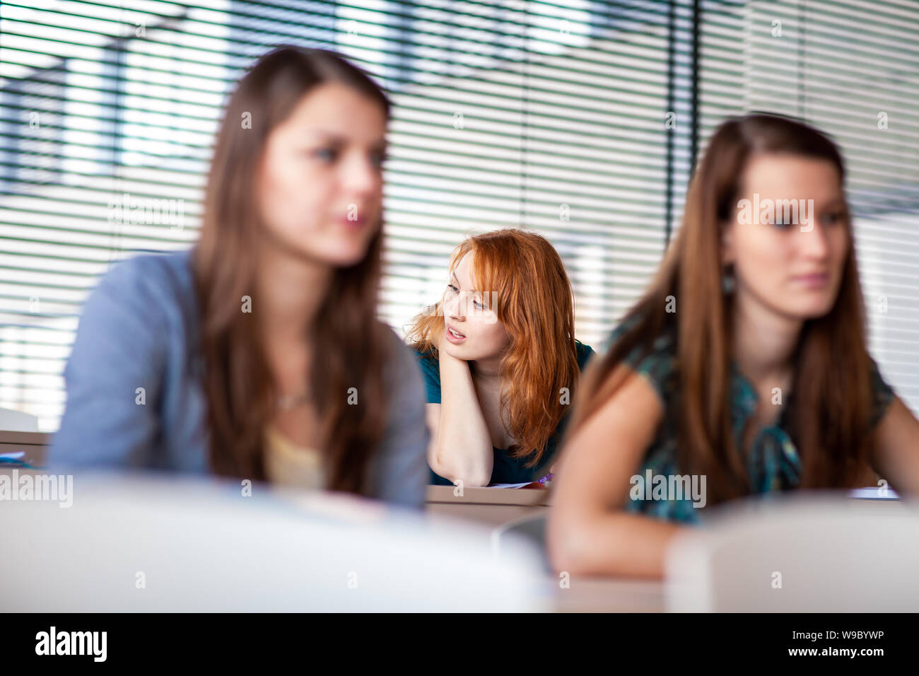 Group of female college students working on their homework/having a ...