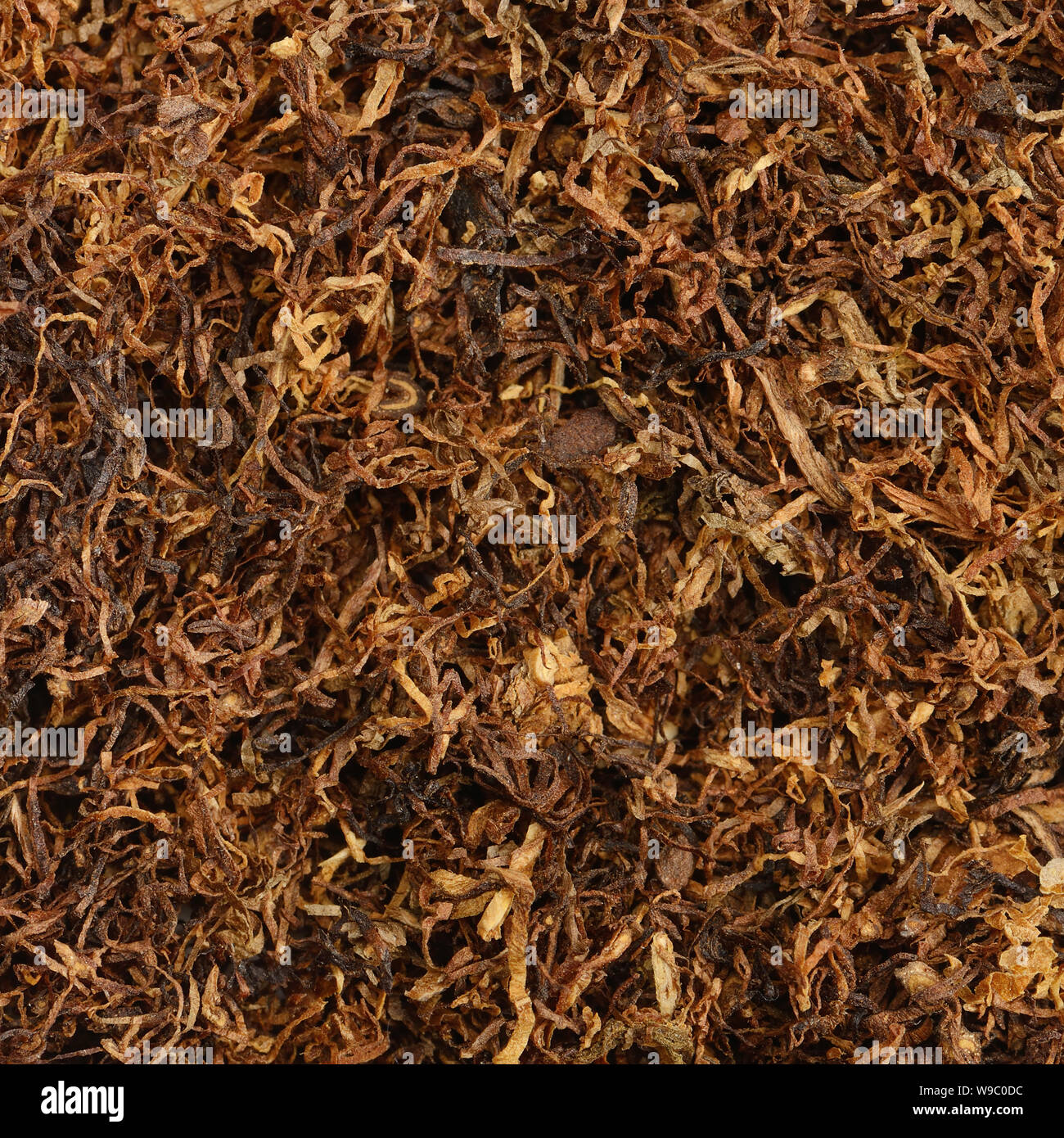 Tobacco close up hi-res stock photography and images - Alamy