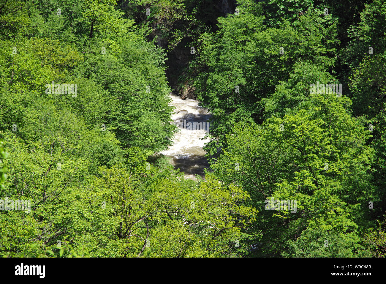 The river in mountains of the Caucasus, Armenia Stock Photo - Alamy
