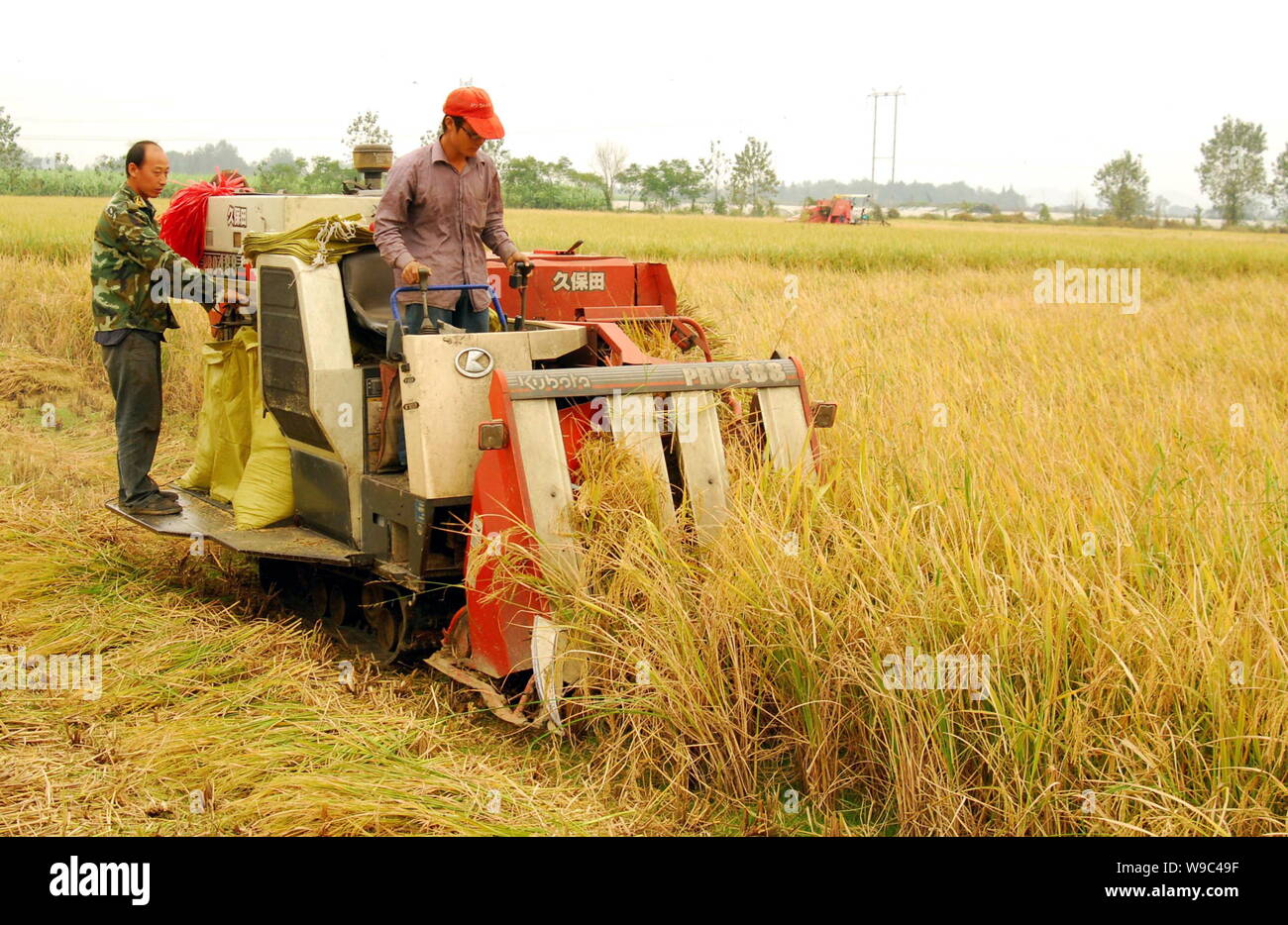 Chinese farmer fields corn hi-res stock photography and images - Alamy
