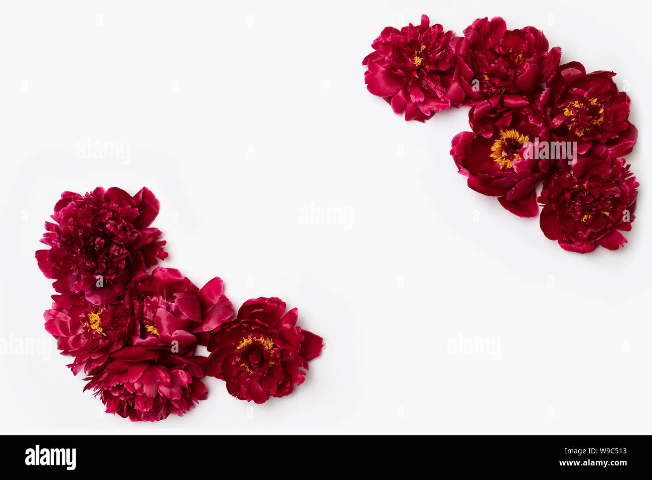 Red Flower Top Border