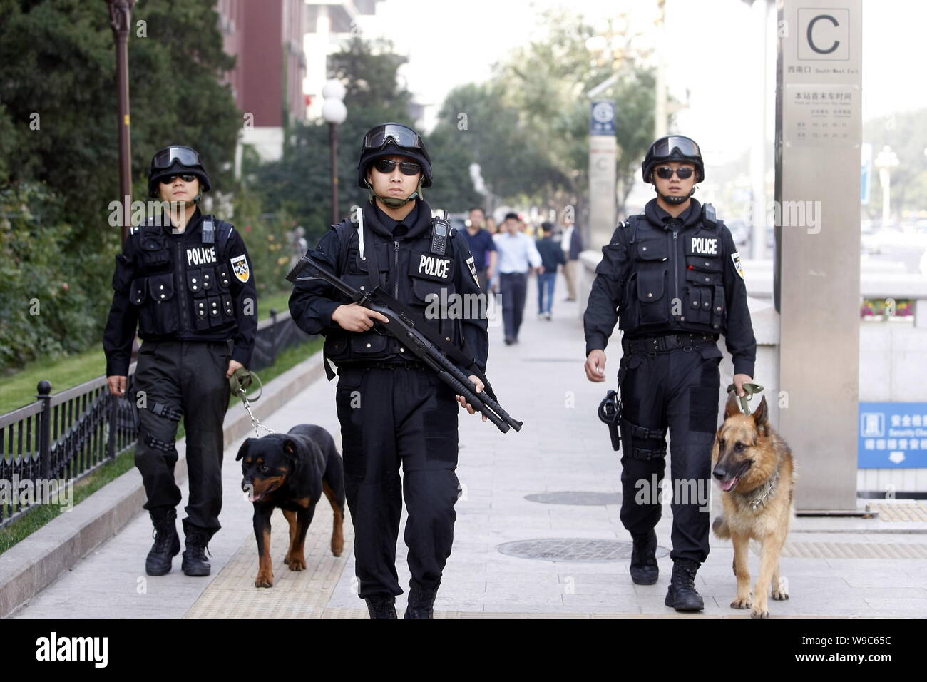 Chinese special policemen and their police dogs patrol a street in ...