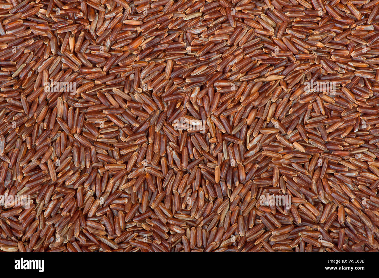 Surface covered with the red rice as a backdrop food texture ...