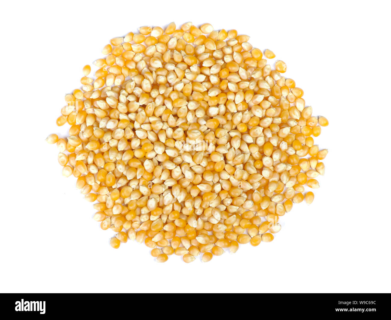 Pile of dried corn isolated on white Stock Photo - Alamy