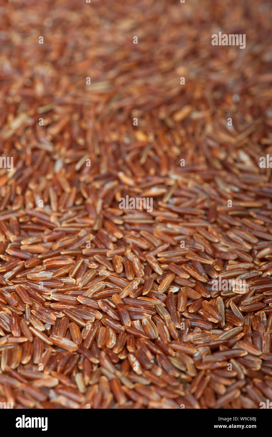 Surface covered with the red rice as a food backdrop with shallow focus ...