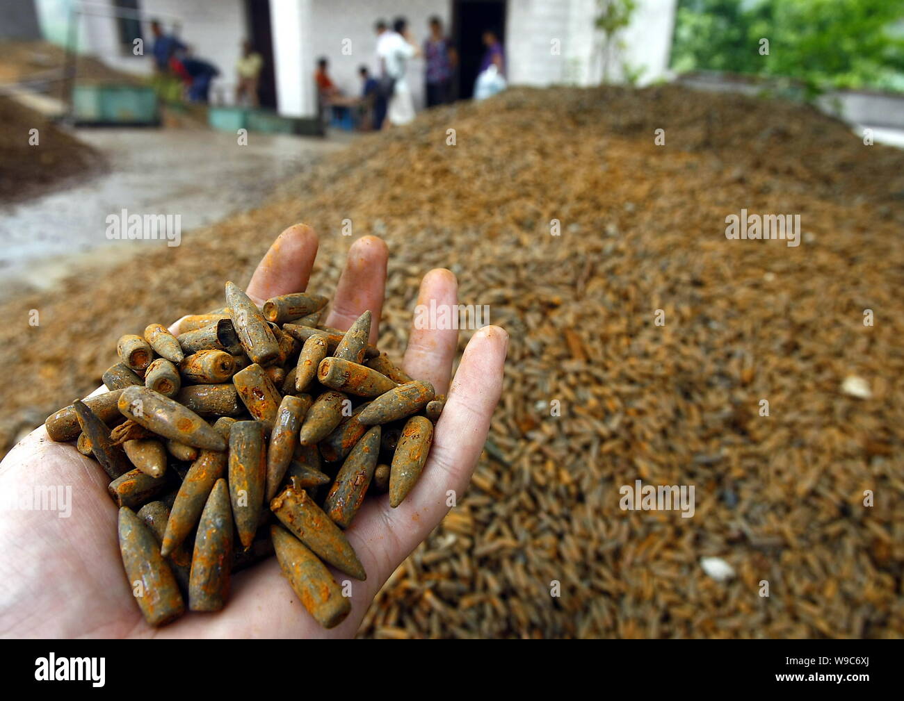 Chinese man with a gun hi-res stock photography and images - Alamy