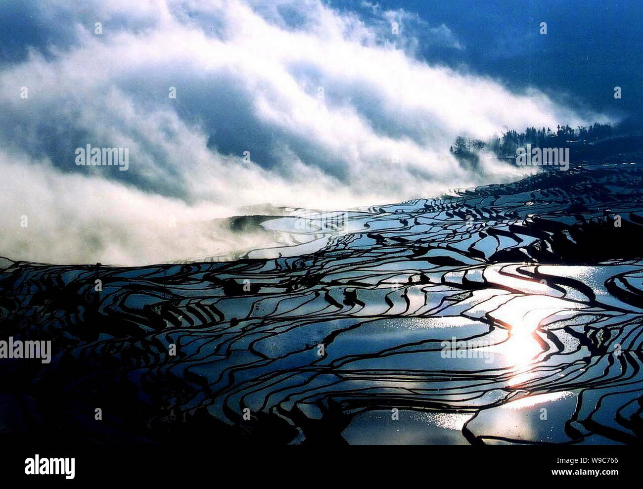 --FILE-- Landscape of terraced rice fields in Yunyang county, southwest ...