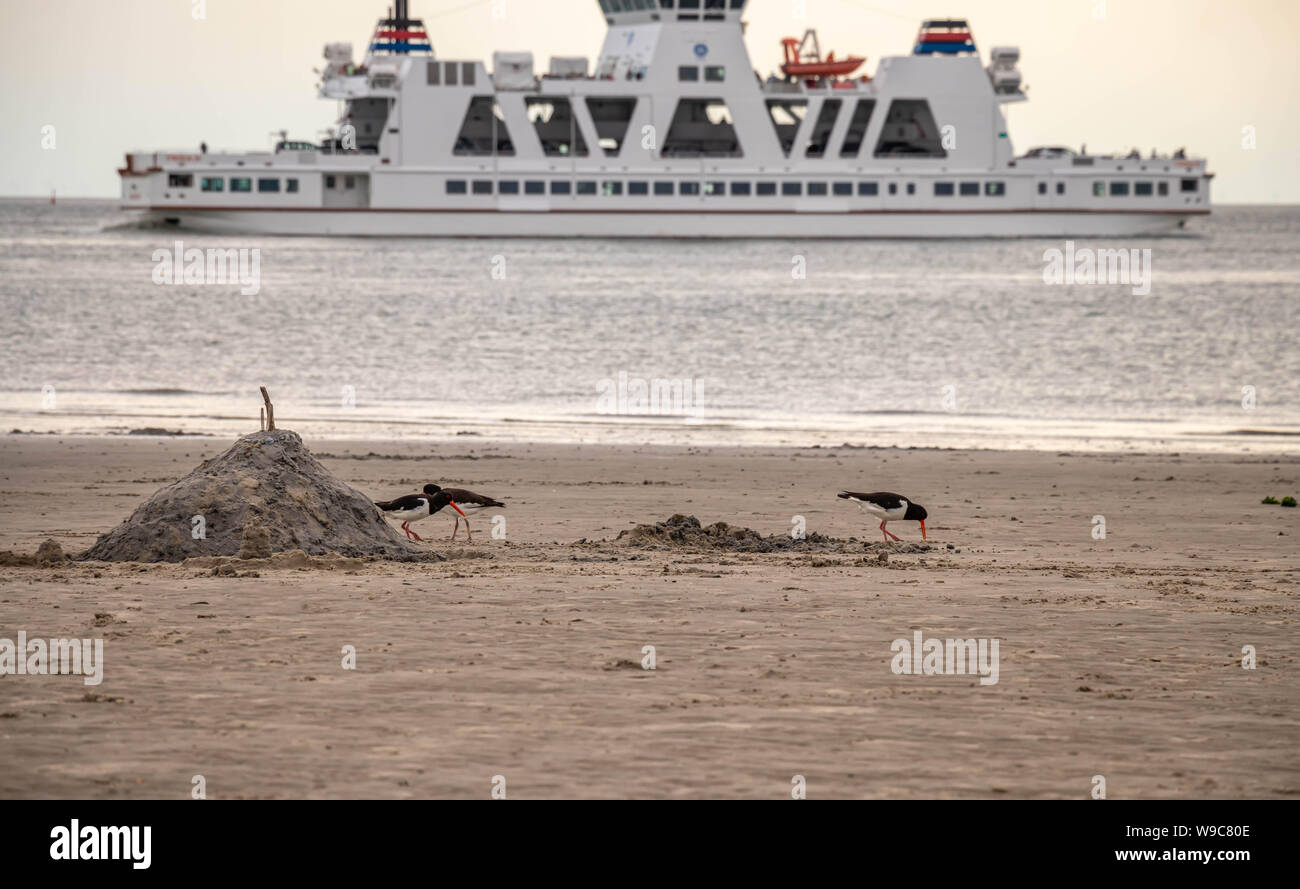 Norderney ferry hi-res stock photography and images - Alamy