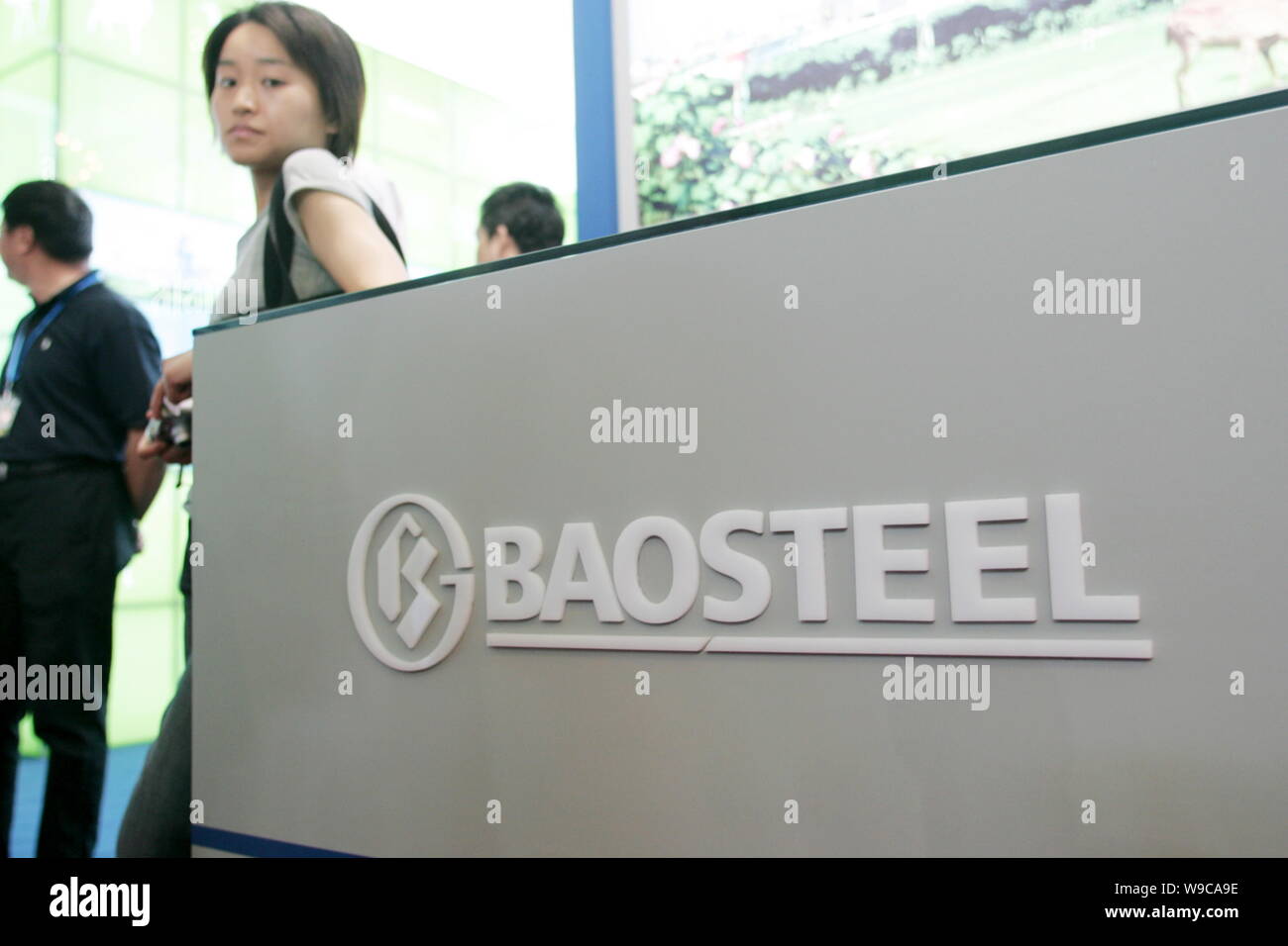 --FILE--Chinese visitors are seen at the stand of Baosteel during an ...