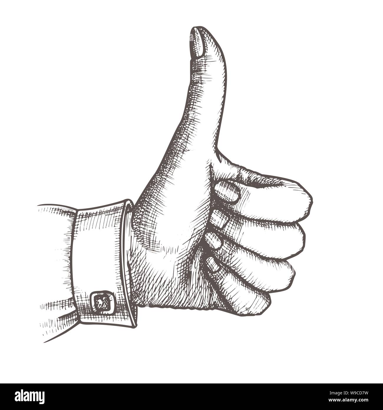 Female Hand Make Gesture Thumb Finger Up Vector Stock Vector Image ...