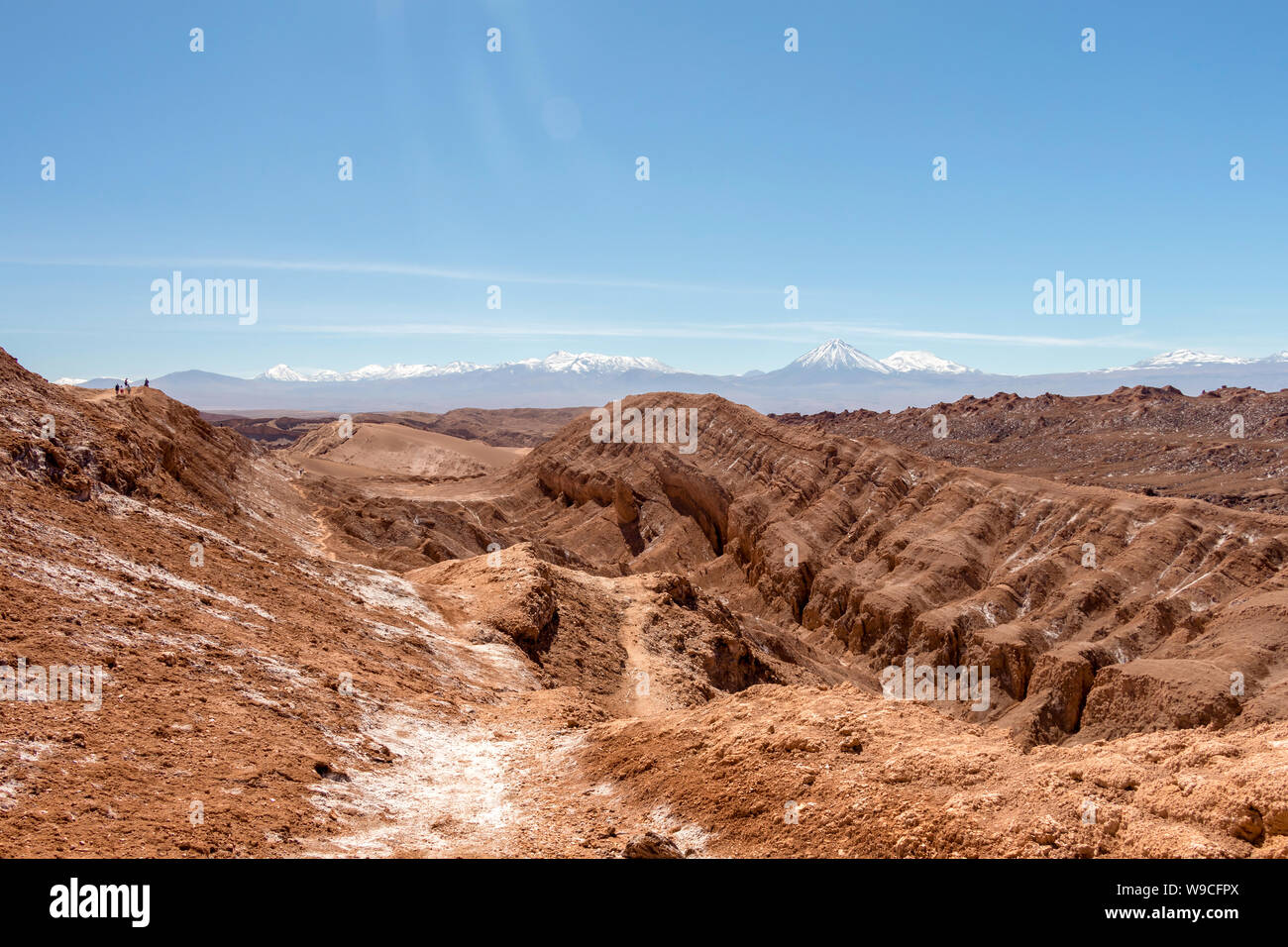 Lunar landscape of dunes, rugged mountains and distinctive geological ...