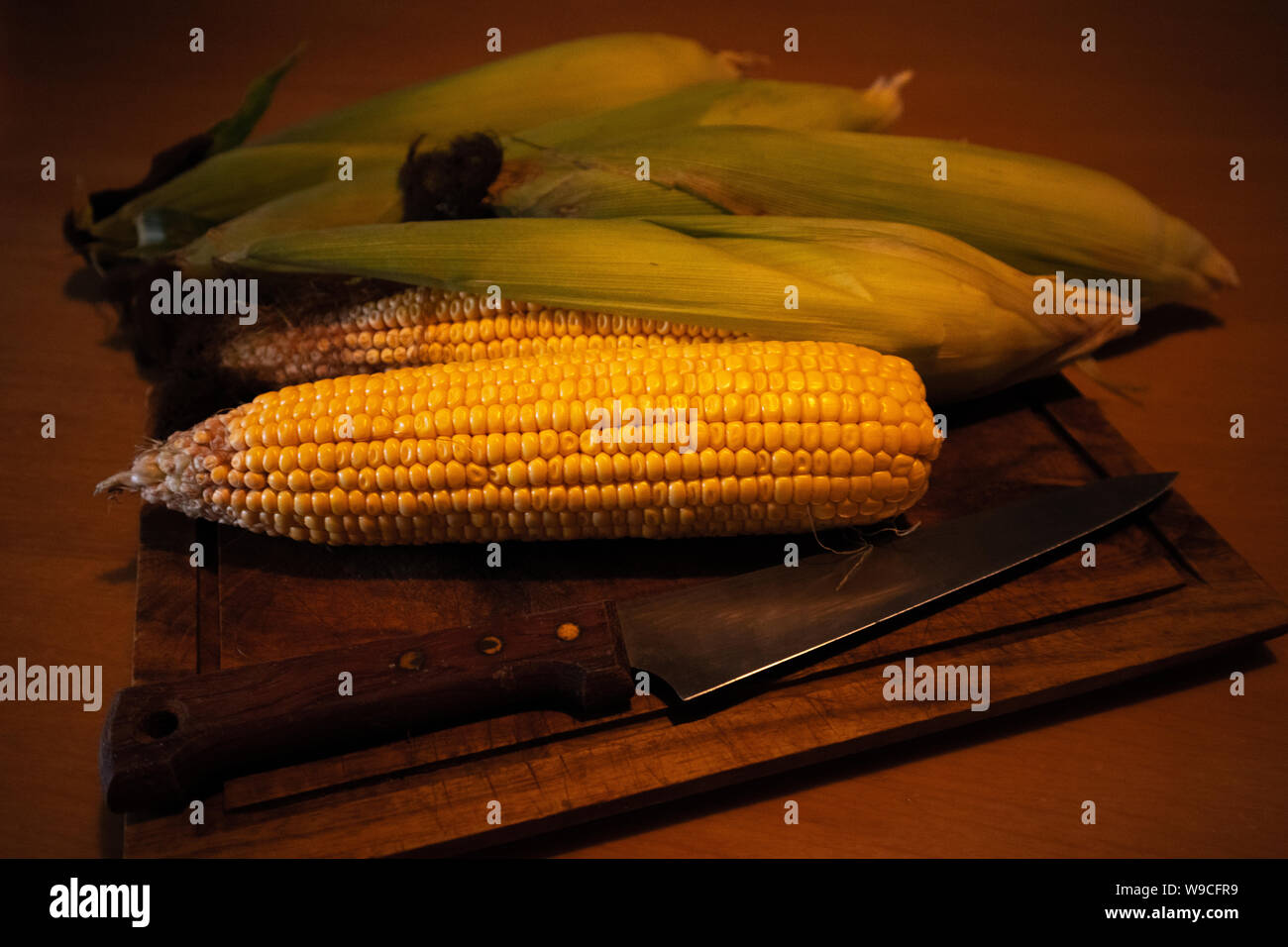 Planta de maiz verde hi-res stock photography and images - Alamy