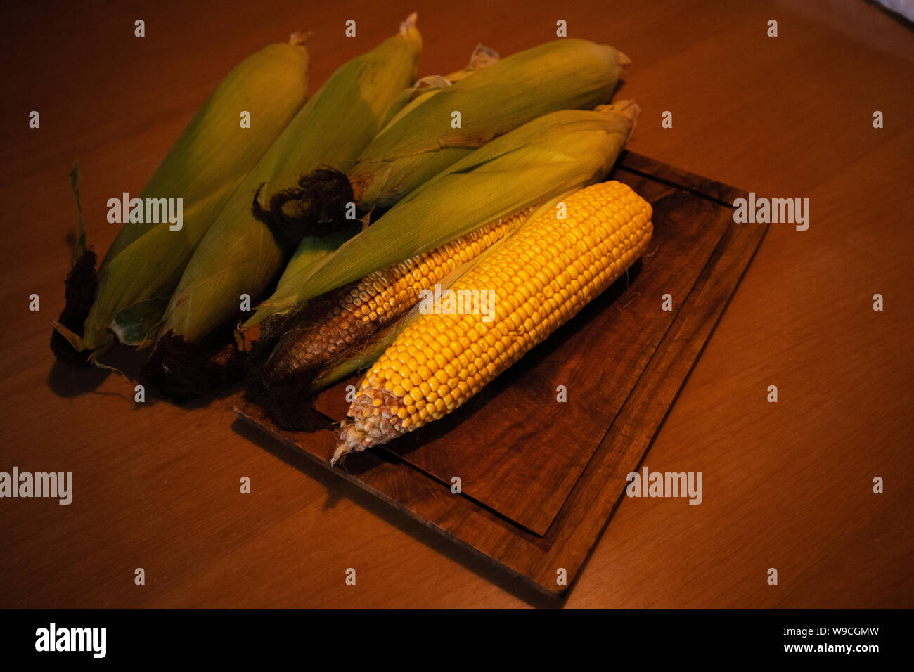 Planta de maiz hi-res stock photography and images - Alamy