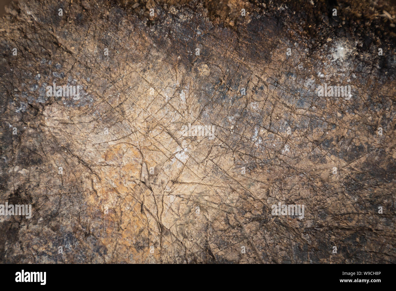 Wood texture background of wood table for interior exterior decoration ...