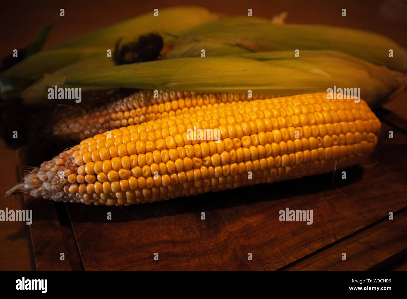 Dia de la tierra hi-res stock photography and images - Alamy