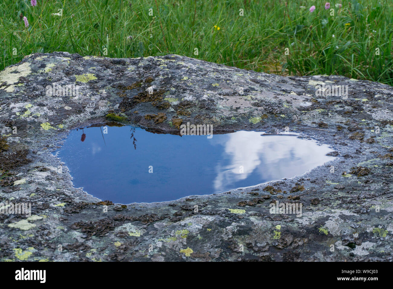 puddle of clear, transparent rainwater on a wild stone Stock Photo - Alamy