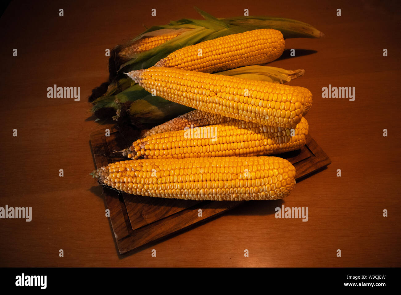 Enfoque de la madera hi-res stock photography and images - Alamy