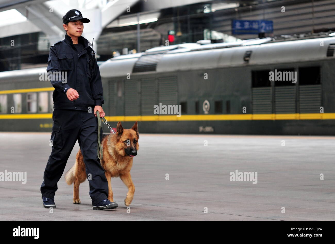 Dog Patrol High Resolution Stock Photography and Images - Alamy