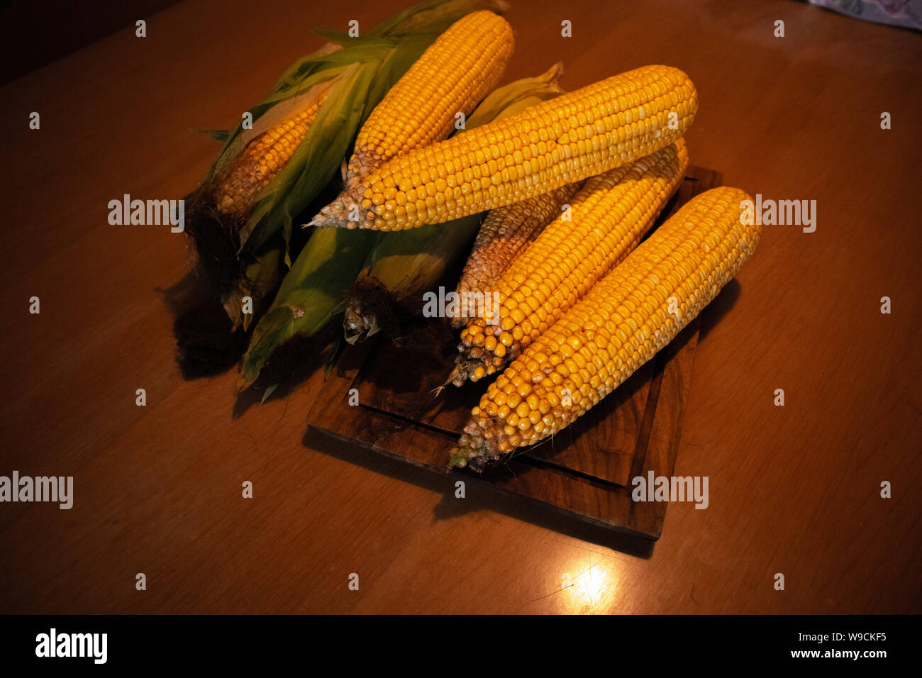 Planta de maiz verde hi-res stock photography and images - Alamy