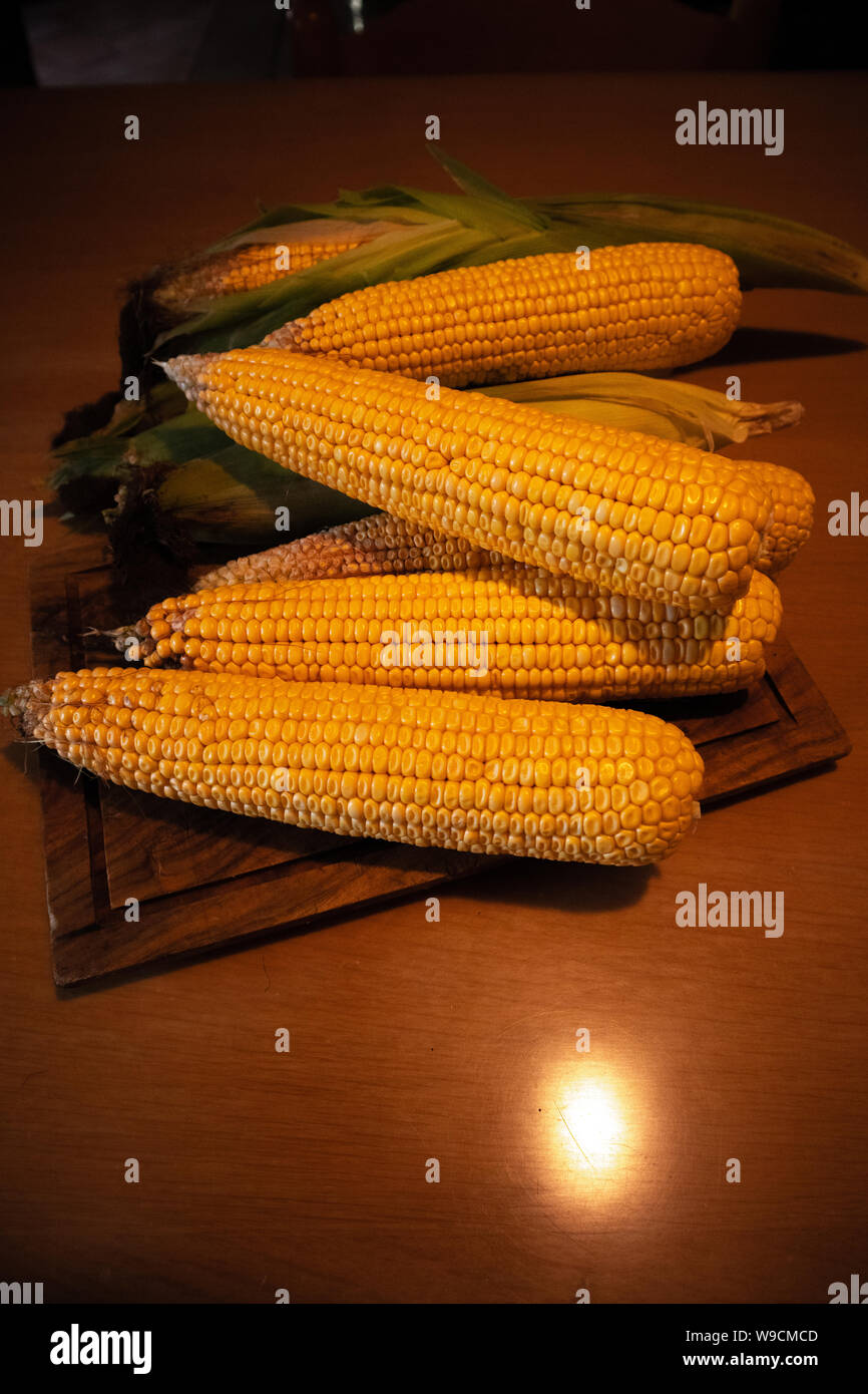 Enfoque de la madera hi-res stock photography and images - Alamy