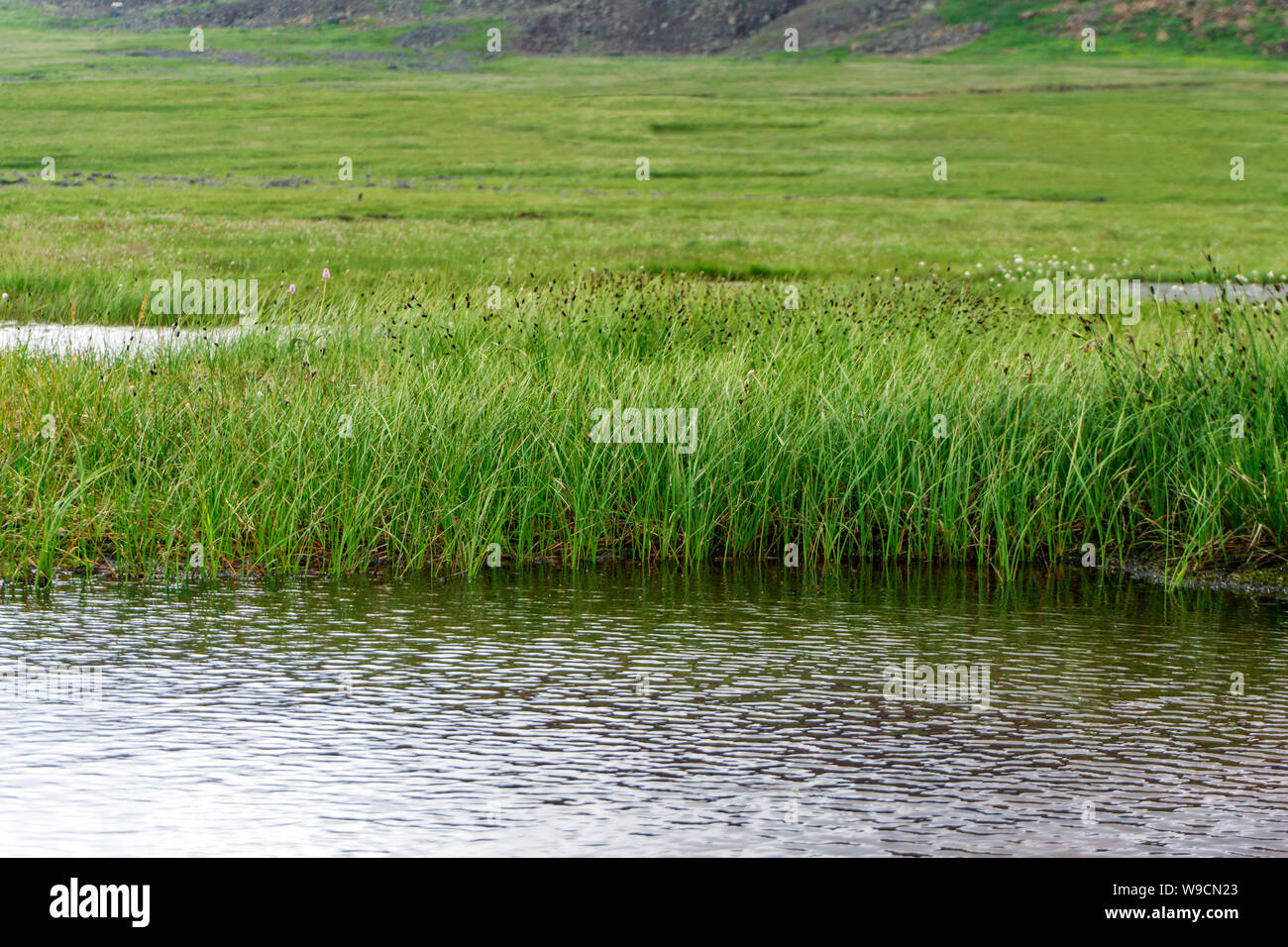Raised bog pond hi-res stock photography and images - Alamy