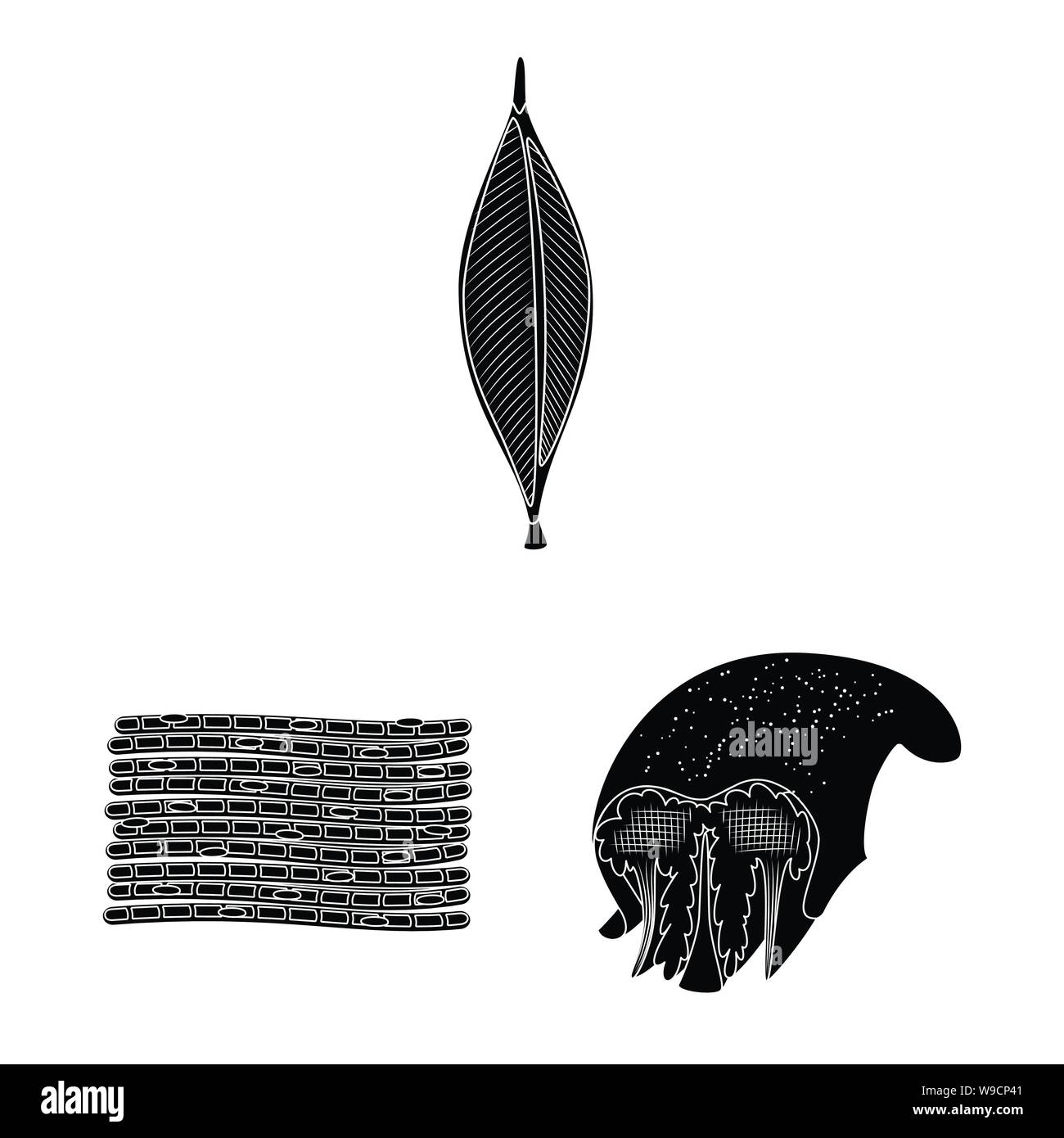 Vector design of human and body logo. Collection of human and cells ...