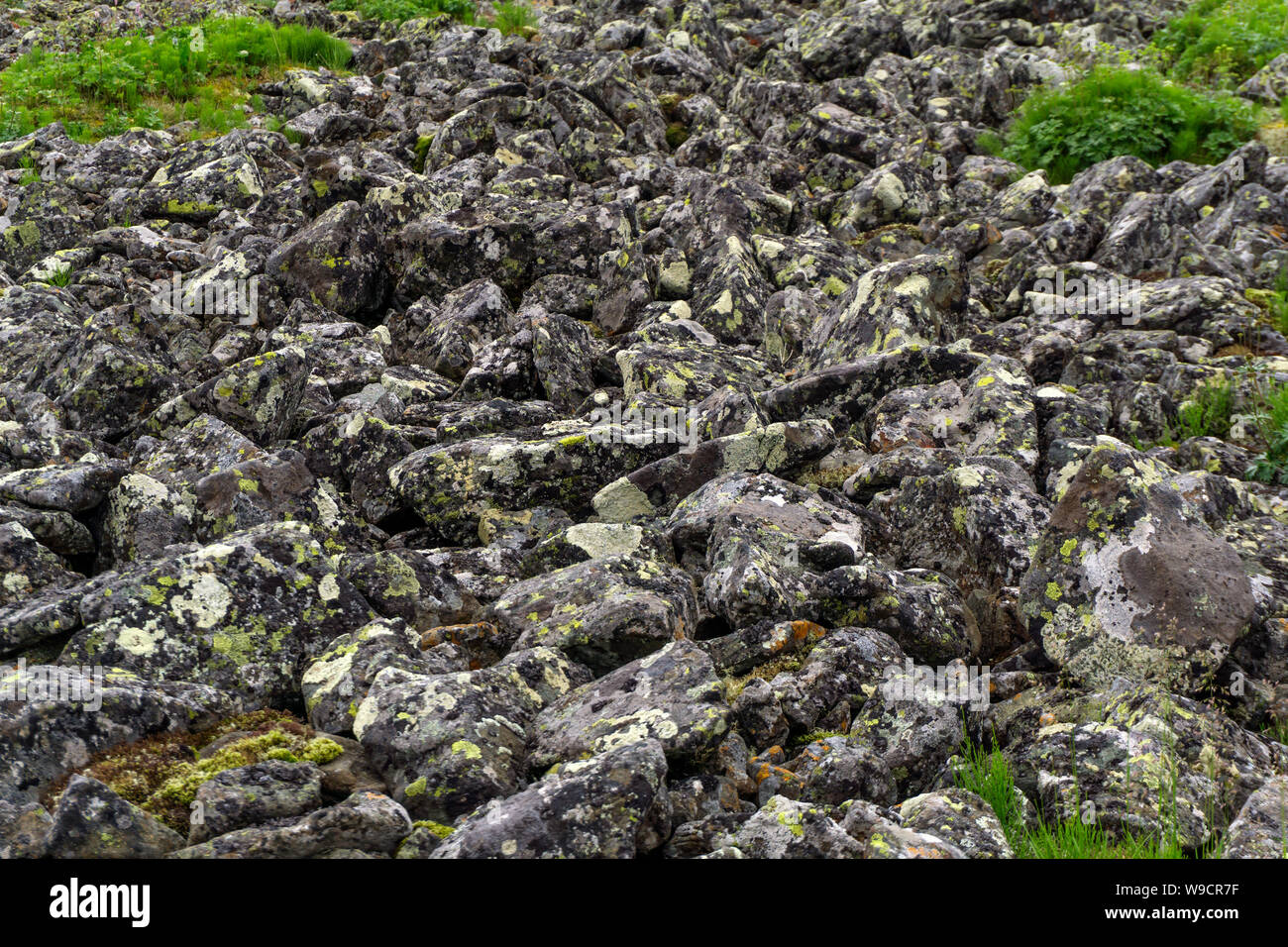 field of rock boulders (called stone run or stone river) is one of the ...