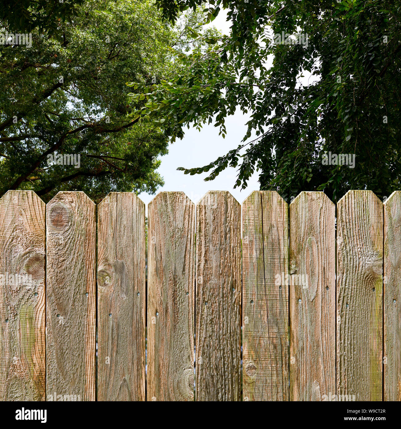 Rustic Wooden Fence Wallpaper