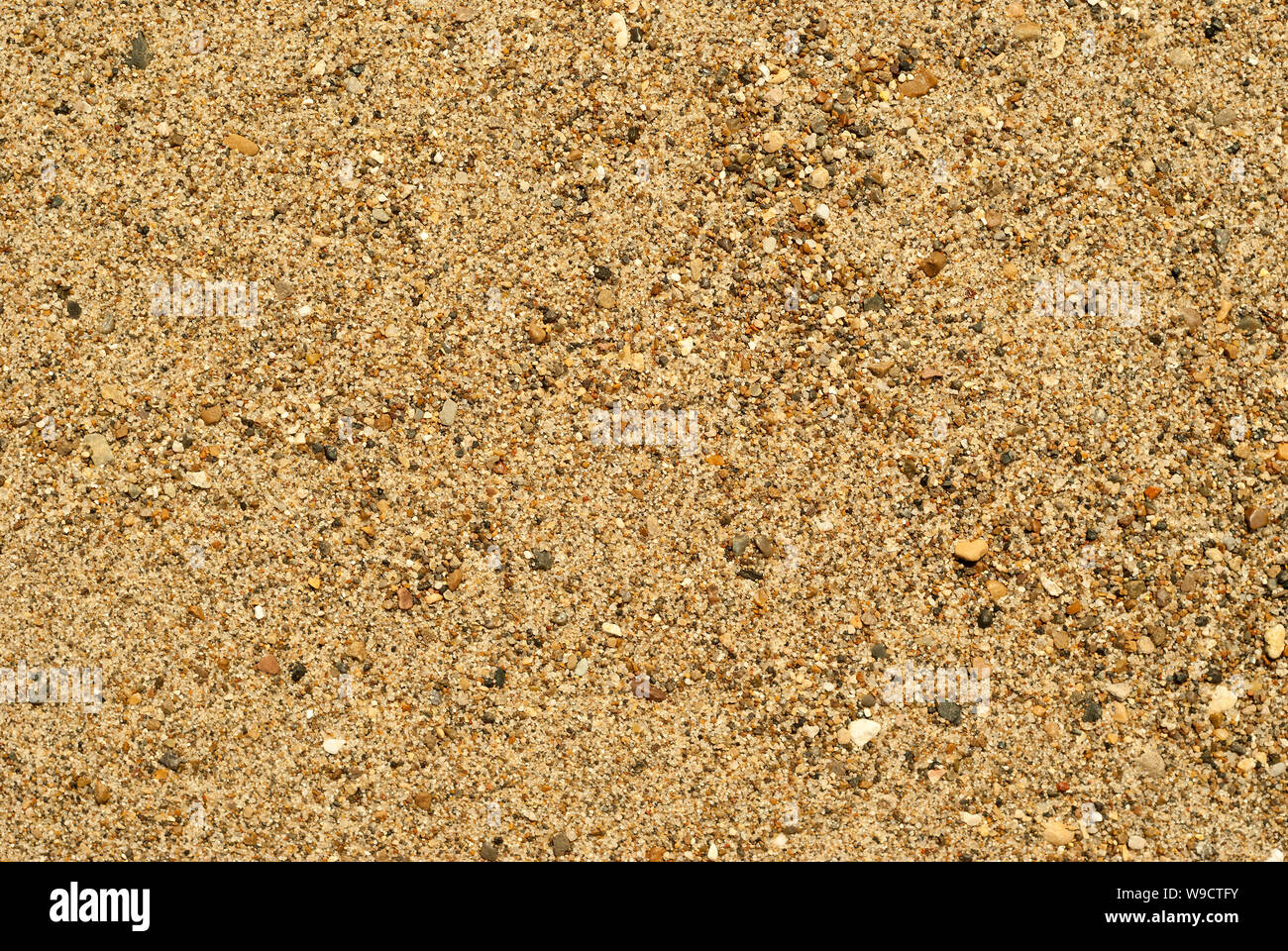 background, texture - yellow river sand with small pebbles Stock Photo ...